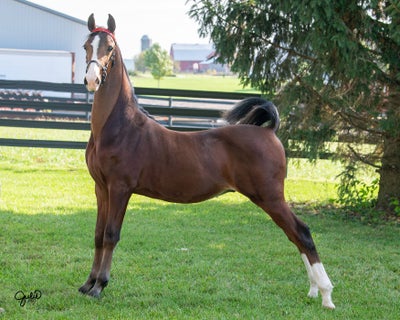 of the year calendar of events sponsorship contact us more youth of the ...